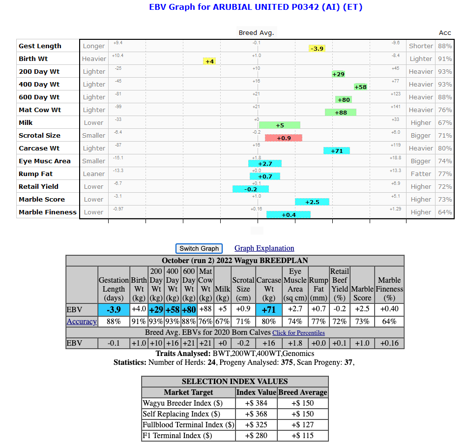 Wagyu Bulls,Heifers,cows,Embryos,Semen | Eversole Run Farm Cattle LLC